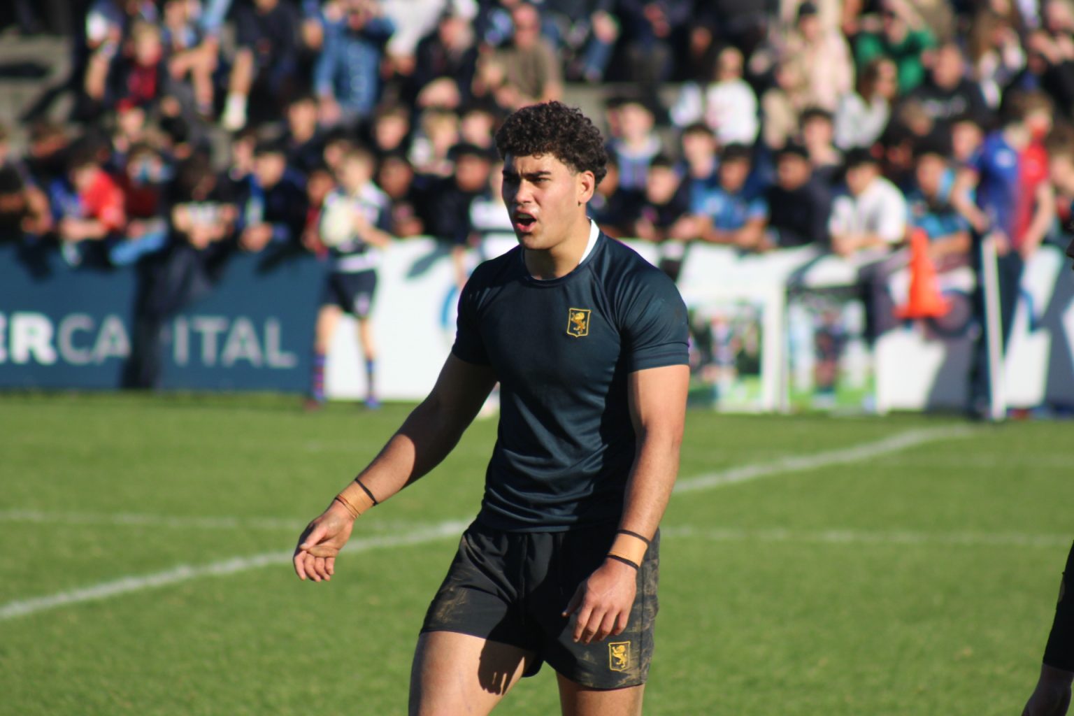 My HS Top 200 NZSS Team Explanation - HS Top 200